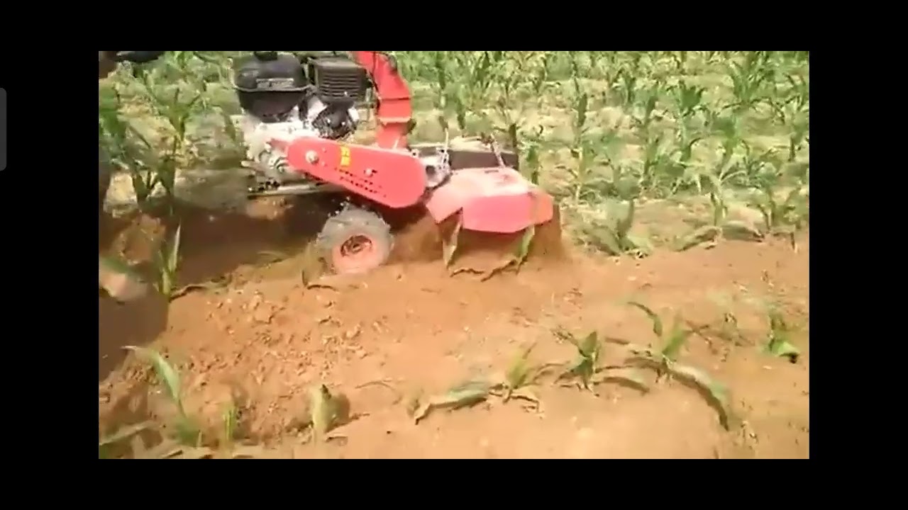 Grass Weeder for maize 🌽 farming in line new Agriculture Technology ...
