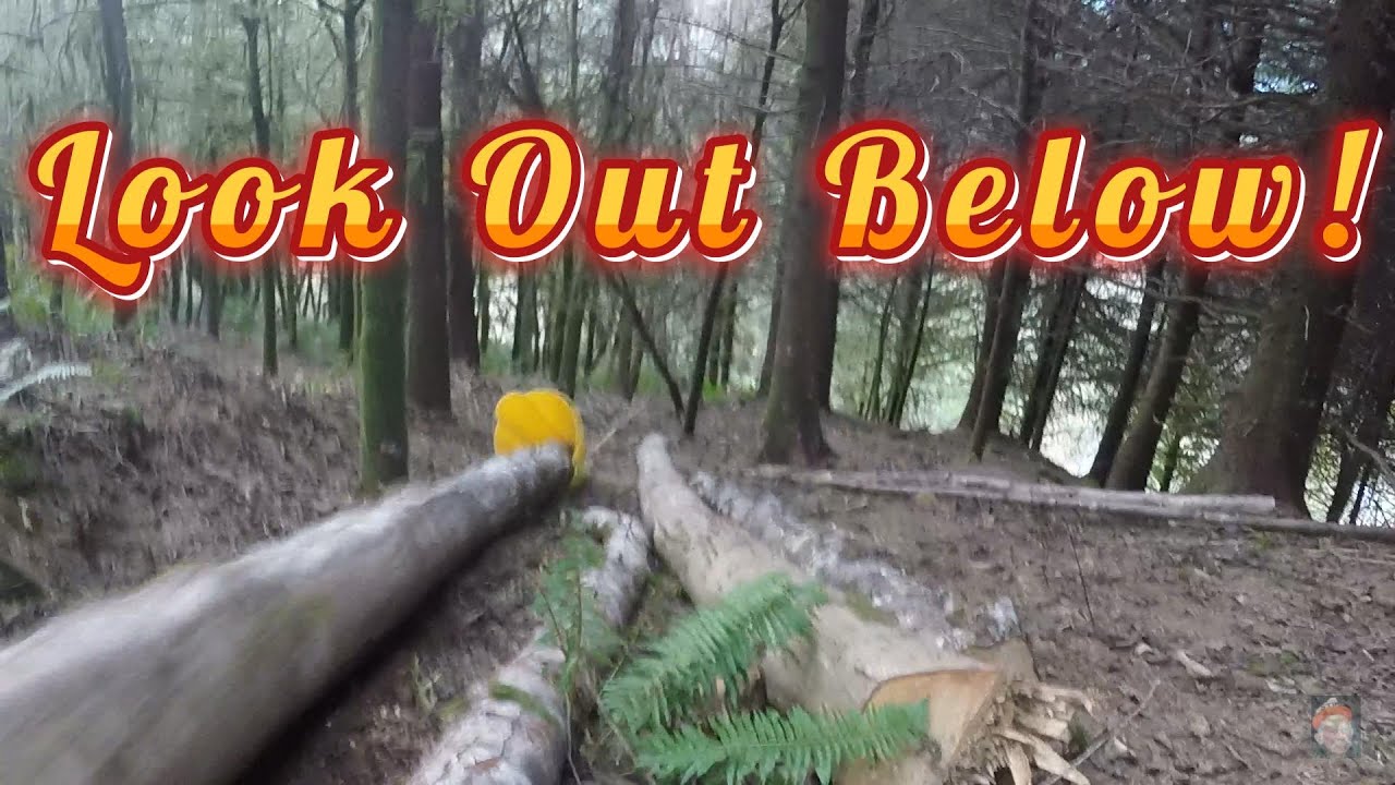 Dragging Down the Long Log - YouTube