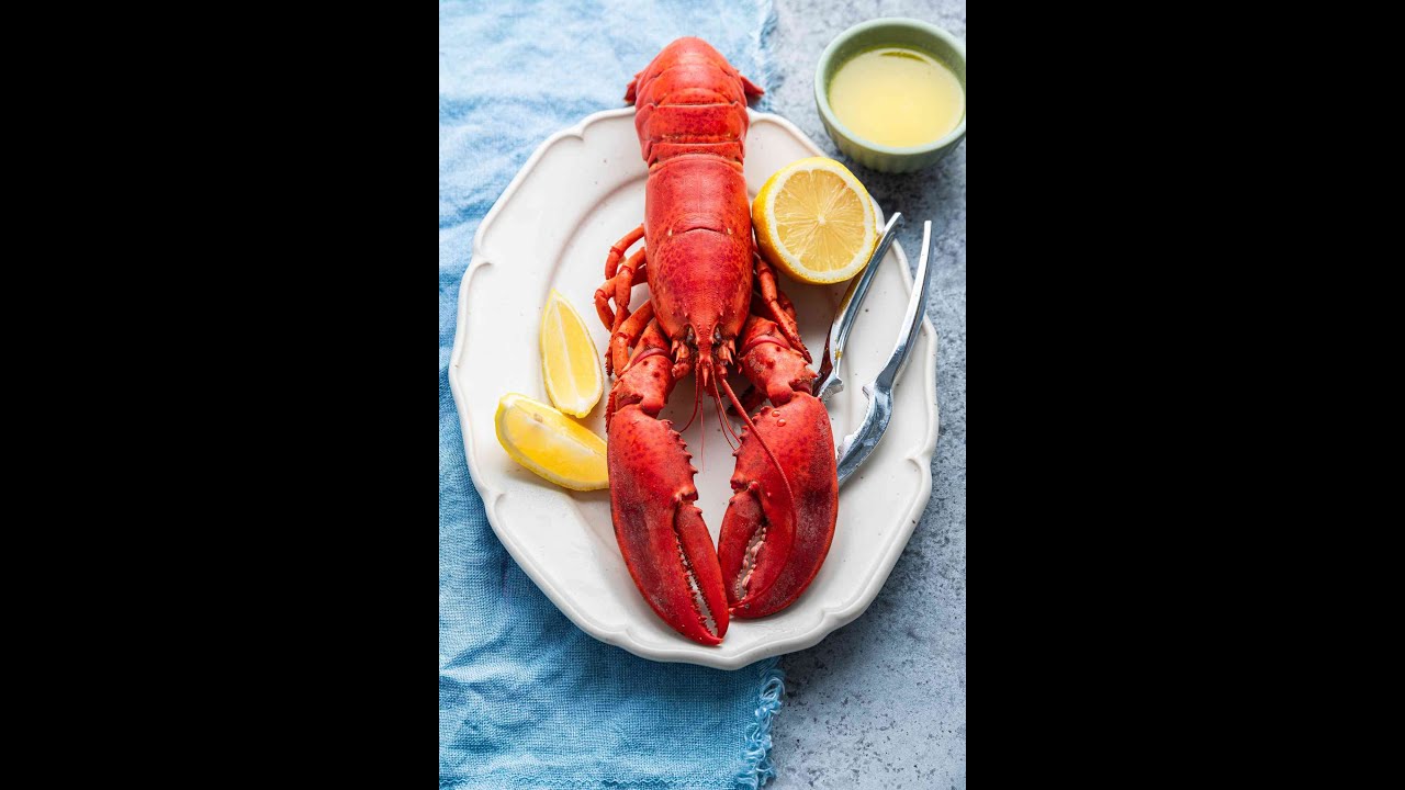 First 18 Seconds Of Lobster By RJ Pasin - YouTube