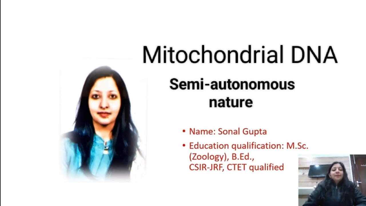 Mitochondrial DNA| Semi-autonomous nature|For NET, GATE, MSc & BSc #mdu ...