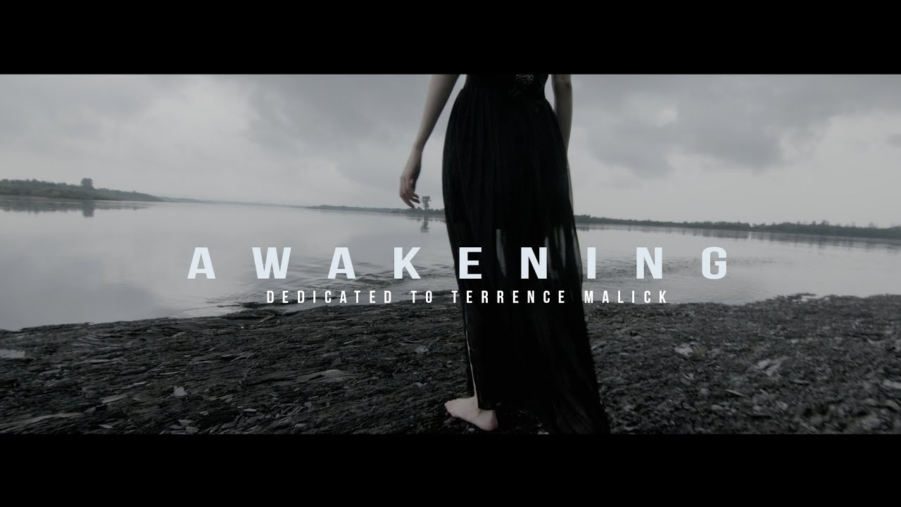 Terrence Malick style | Canon C200 raw - YouTube