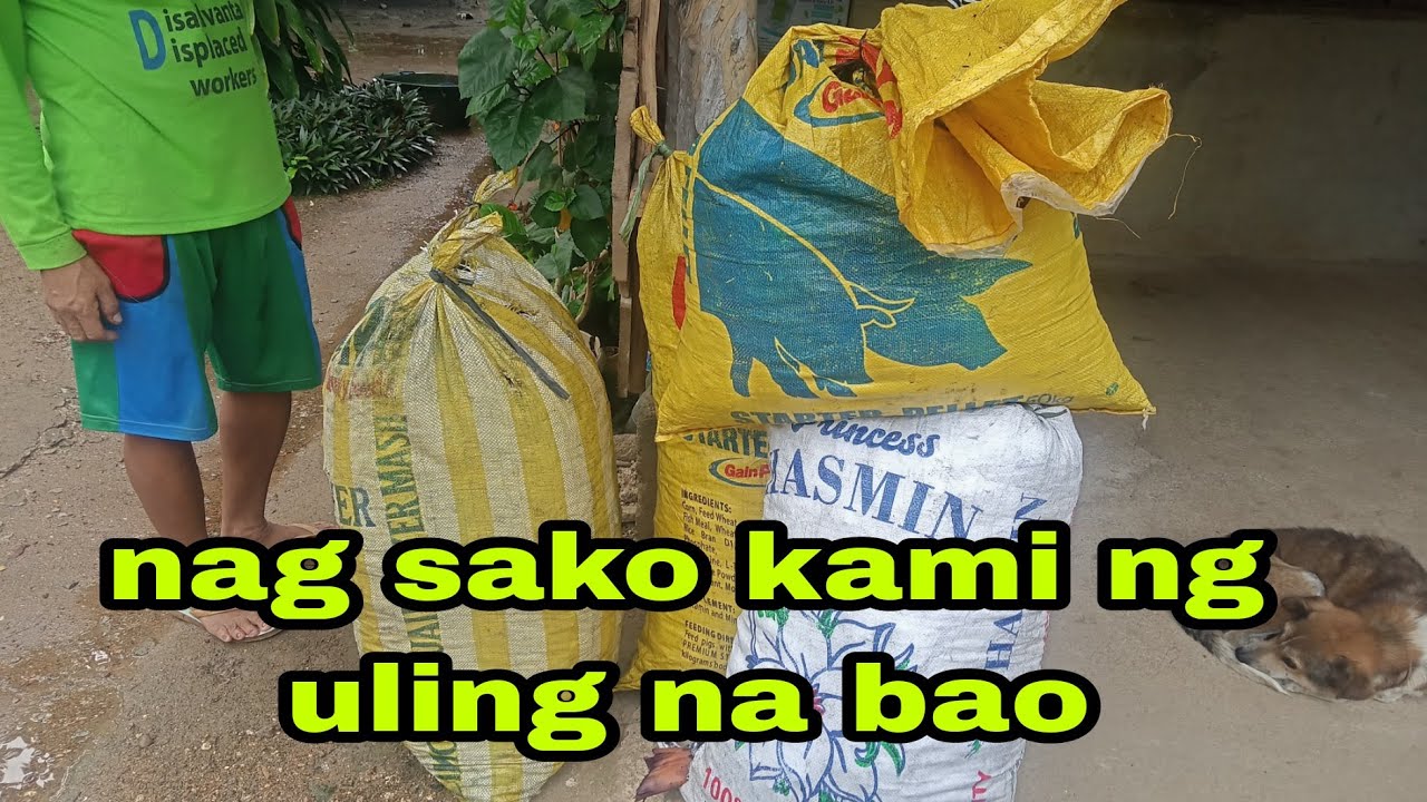 Nag sako kami ng uling na bao pls subscribe - YouTube