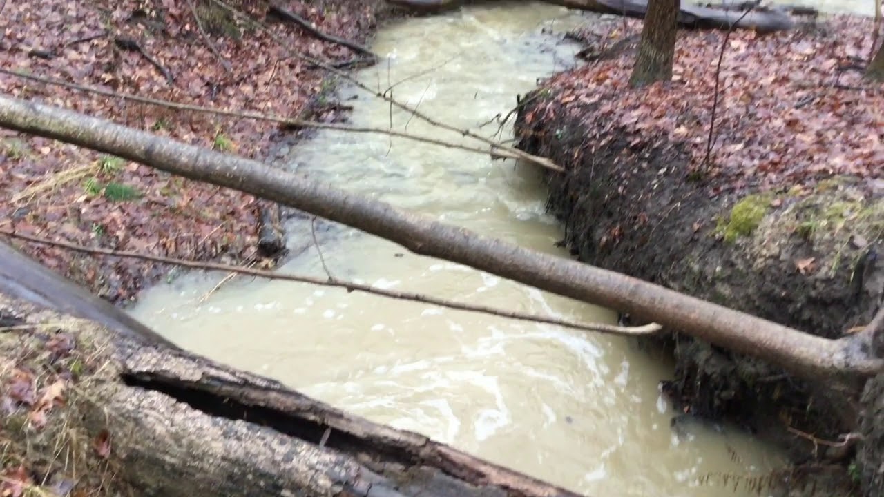 Stream Overflow and Bank Erosion #stream #erosion #erosioncontrol - YouTube