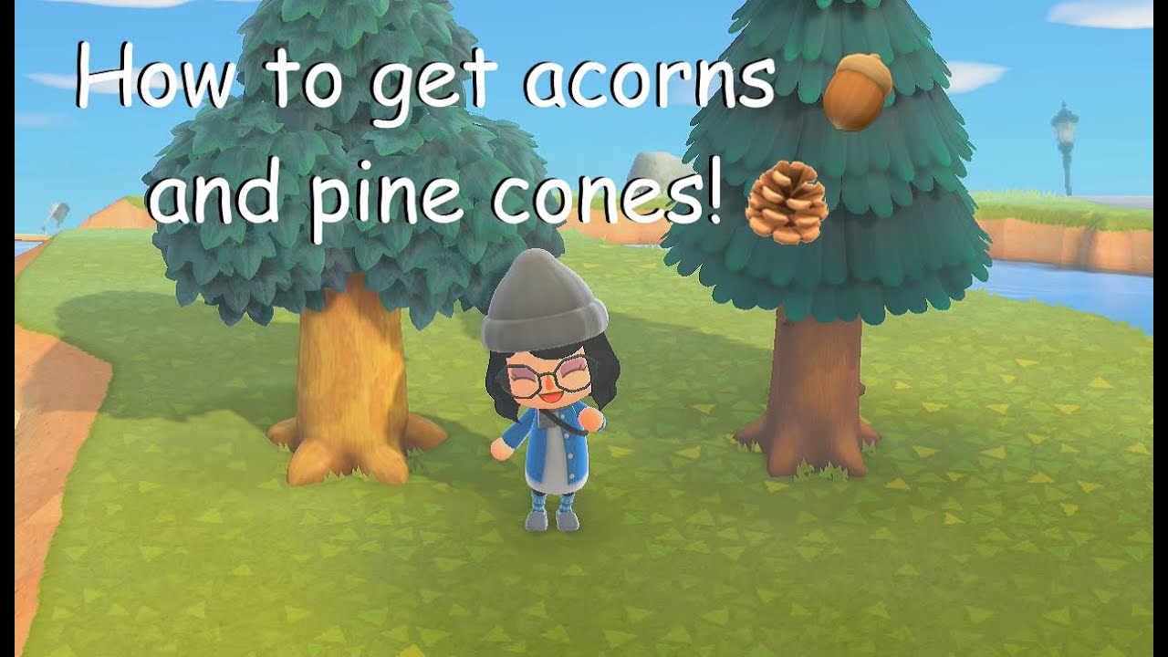 How to Easily Get Acorns and Pine Cones in Animal Crossing New Horizons ...