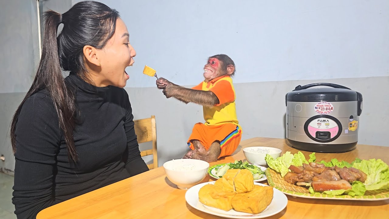 Monkey Su excited to be specially pampered by his mother - YouTube