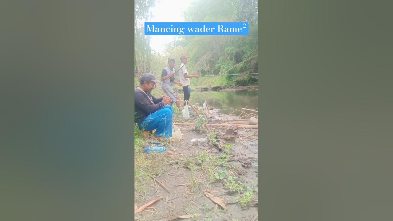 Mancing wader Rame-rame diSungai - YouTube