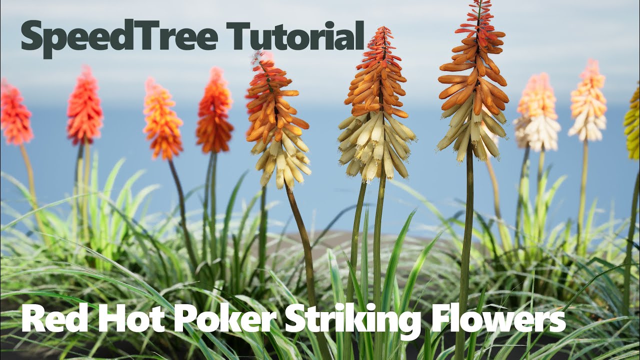 SpeedTree - Tutorial - How to create Red Hot Poker flowers. - YouTube
