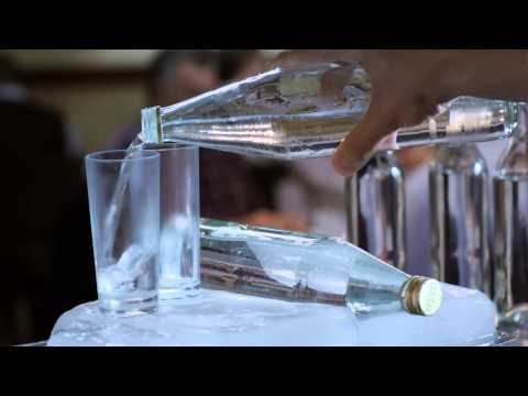 Çalsın Sazlar Teaser 1 I Pişiyo.. pişiyo..