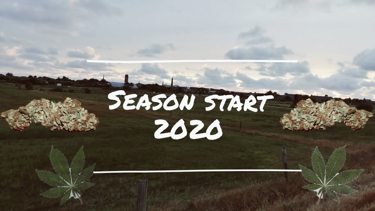 Guerilla Grow site visit for 2020 - YouTube