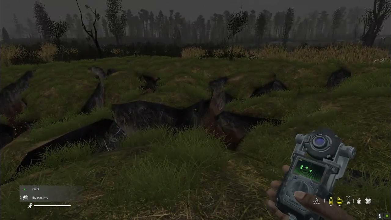 S.T.A.L.K.E.R Oko Detector in Dayz | discord.gg/satoshimods - YouTube