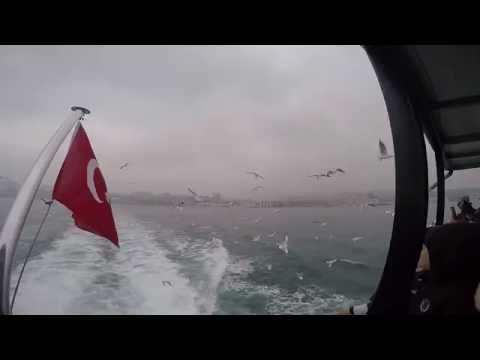 Turkey's flag and seagull // Турецкий флаг и чайки