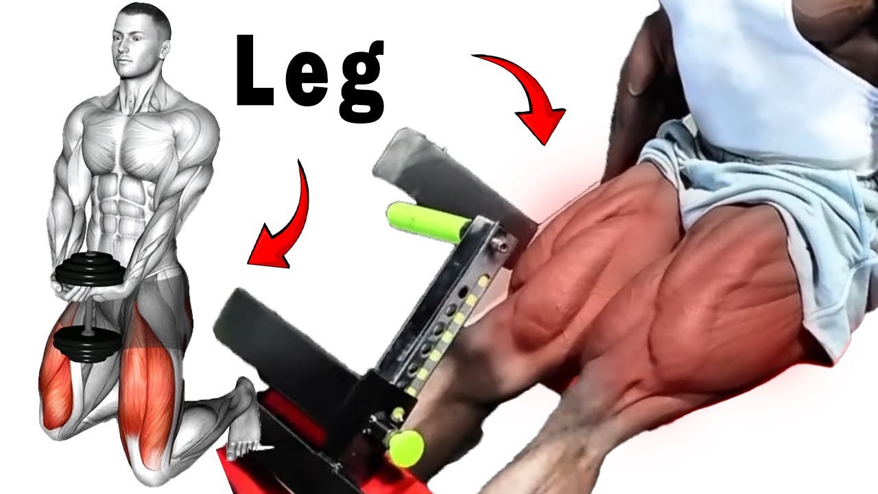 How to Get BIG 8 QUADS DO THESE EXERCISES ONLY - YouTube