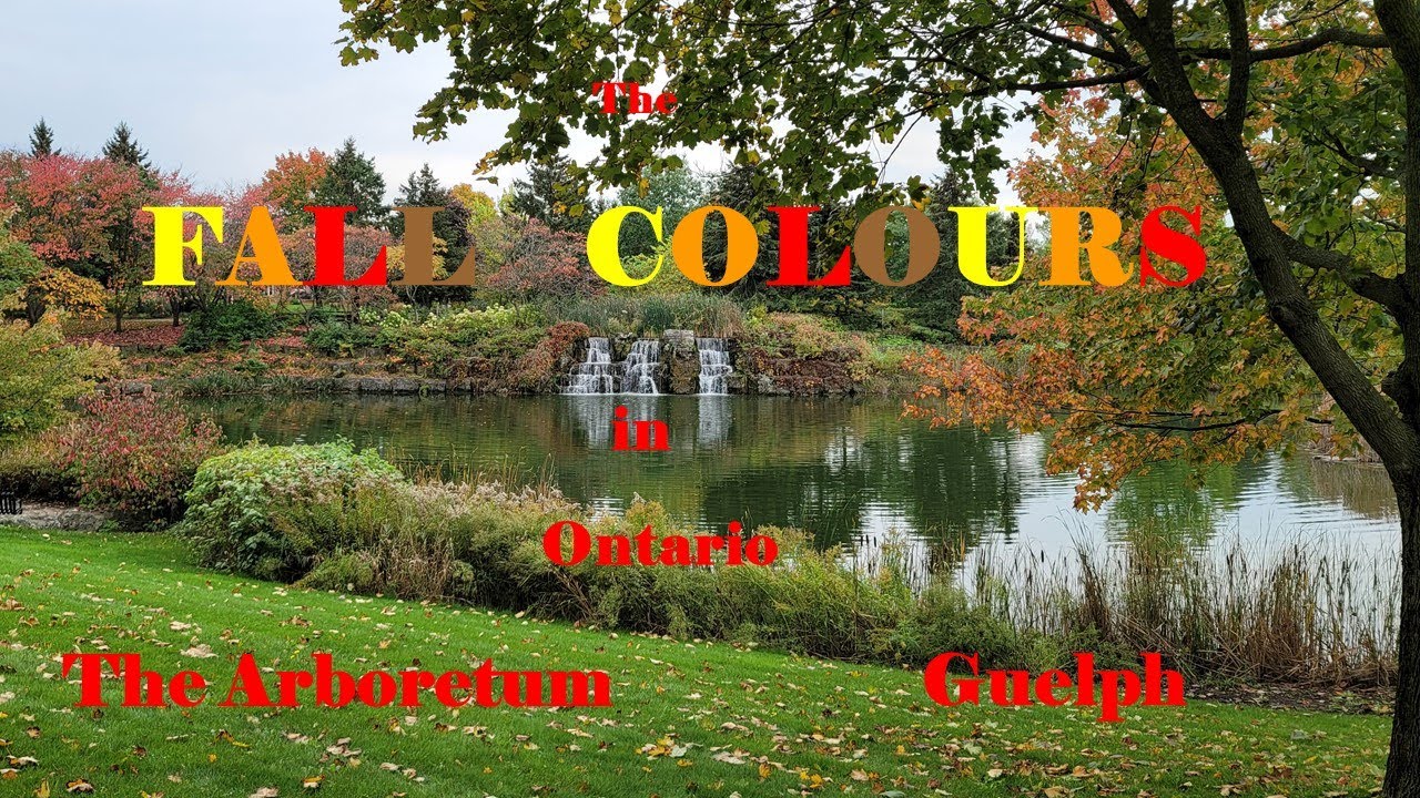 Fall Colours in Ontario – The Arboretum – Guelph – Canada - YouTube