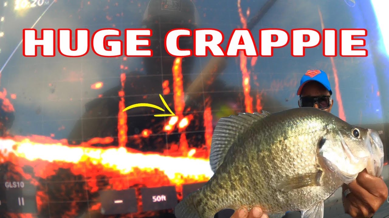 The Best way to fish Submerged Timber (Crappie Fishing) - YouTube
