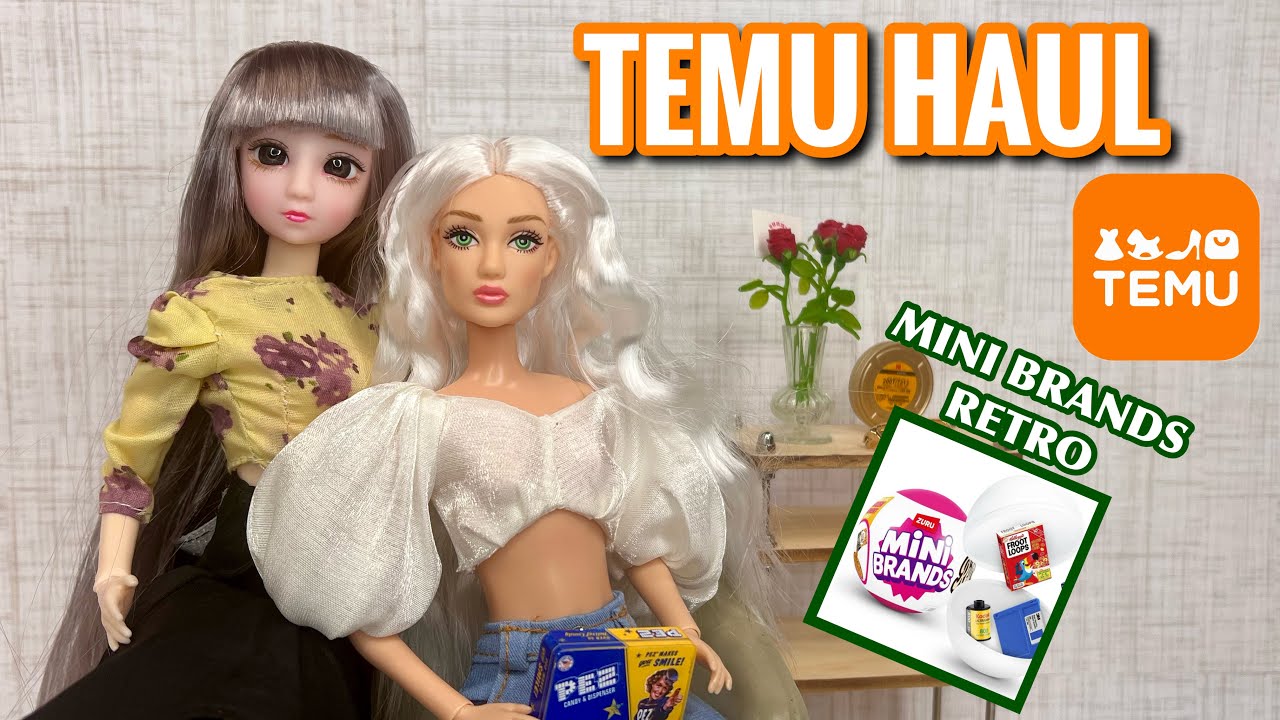 TEMU HAUL | New Dolls | Plus NEW Mini Brands RETRO - YouTube