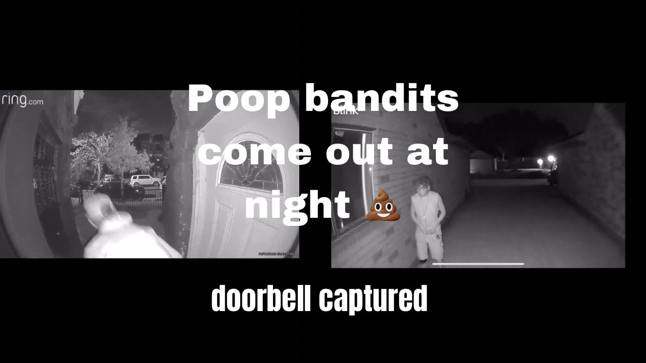 Poop bandits come out at night| Neighbor saves package| doorbell ...