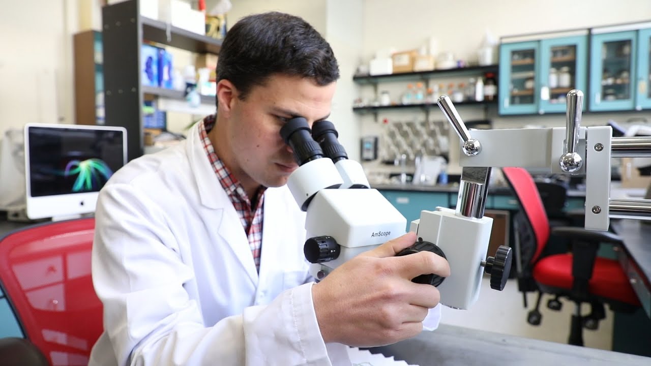 Research Horizons: Nick Barber - Working to Save Disappearing American ...