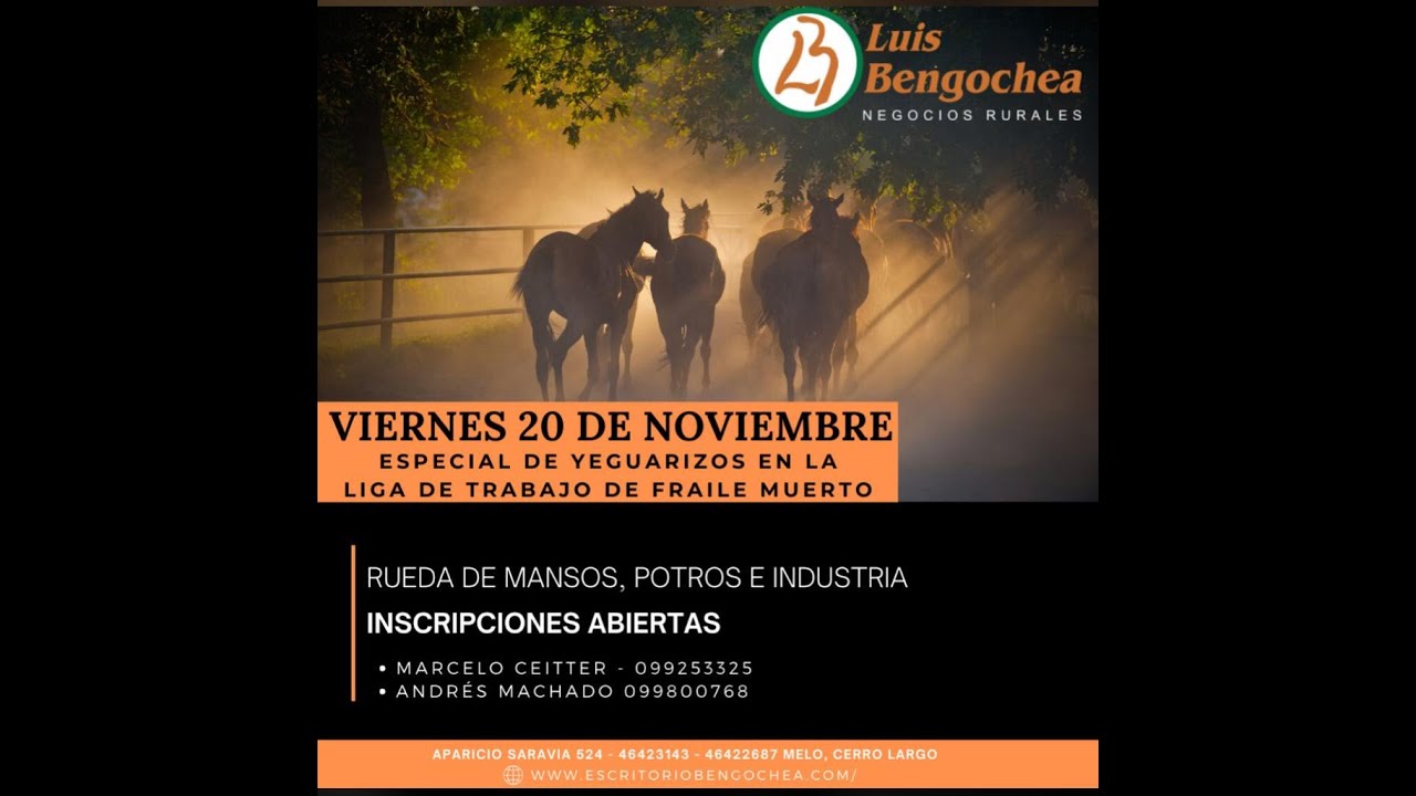 20/11/2020 Liga de trabajo de Fraile Muerto - Bengochea SRL, Luis A ...