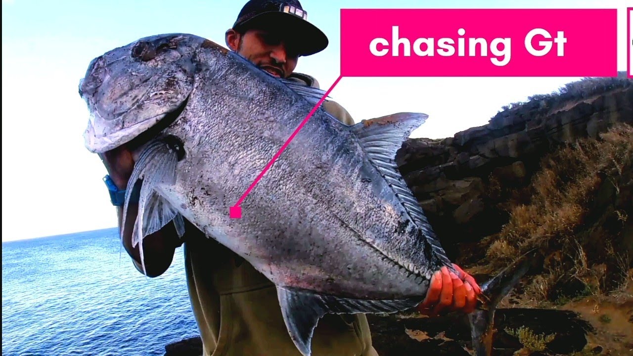 hawaii ulua fishingvideo|reel big fish|big island ulua - YouTube