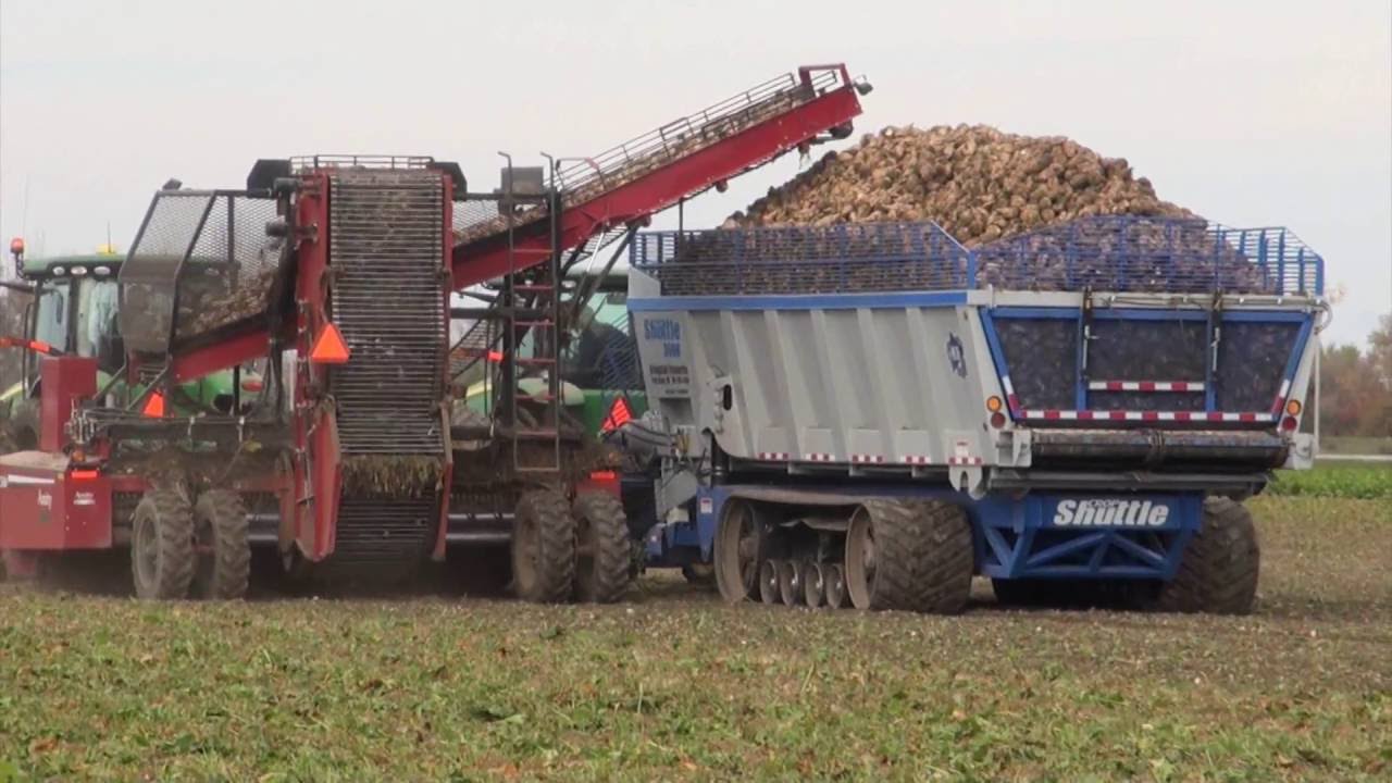 2015 Crop Shuttle Sugar Beets - Loading the Shuttle - YouTube