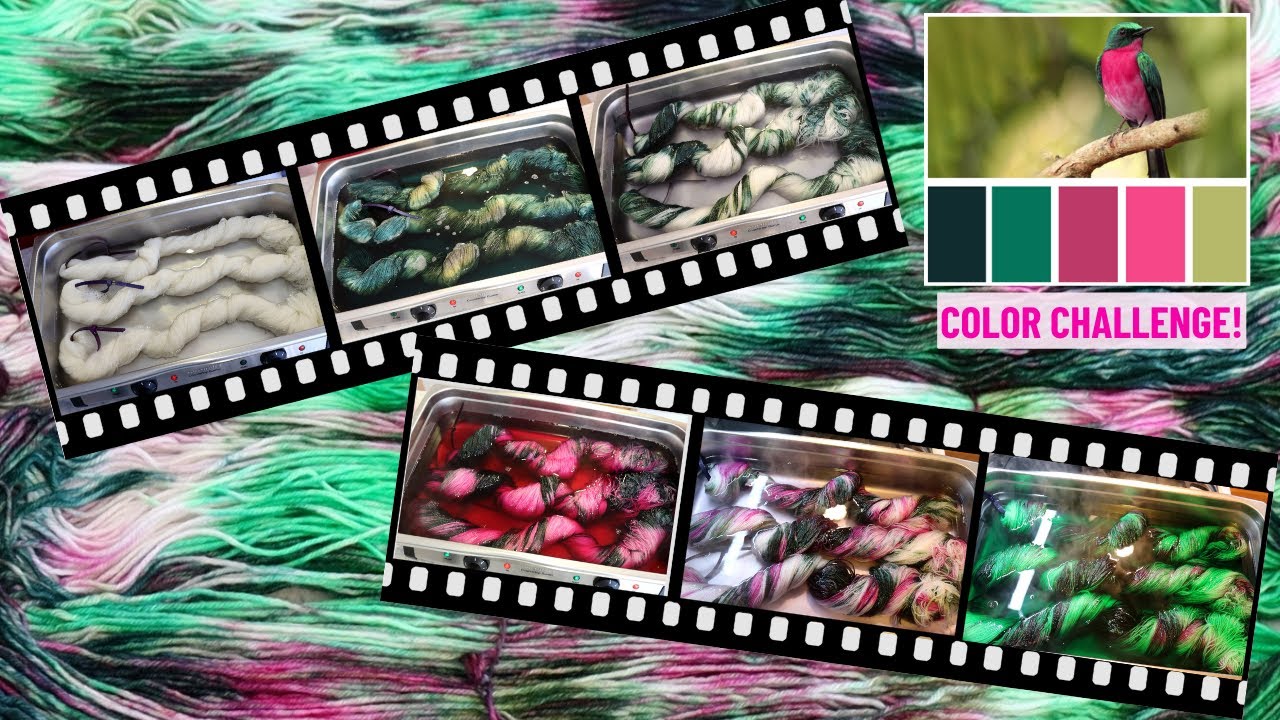 Dyepot Weekly #520 - Dyeing a 4th Colorway for My Bird Color Challenge ...