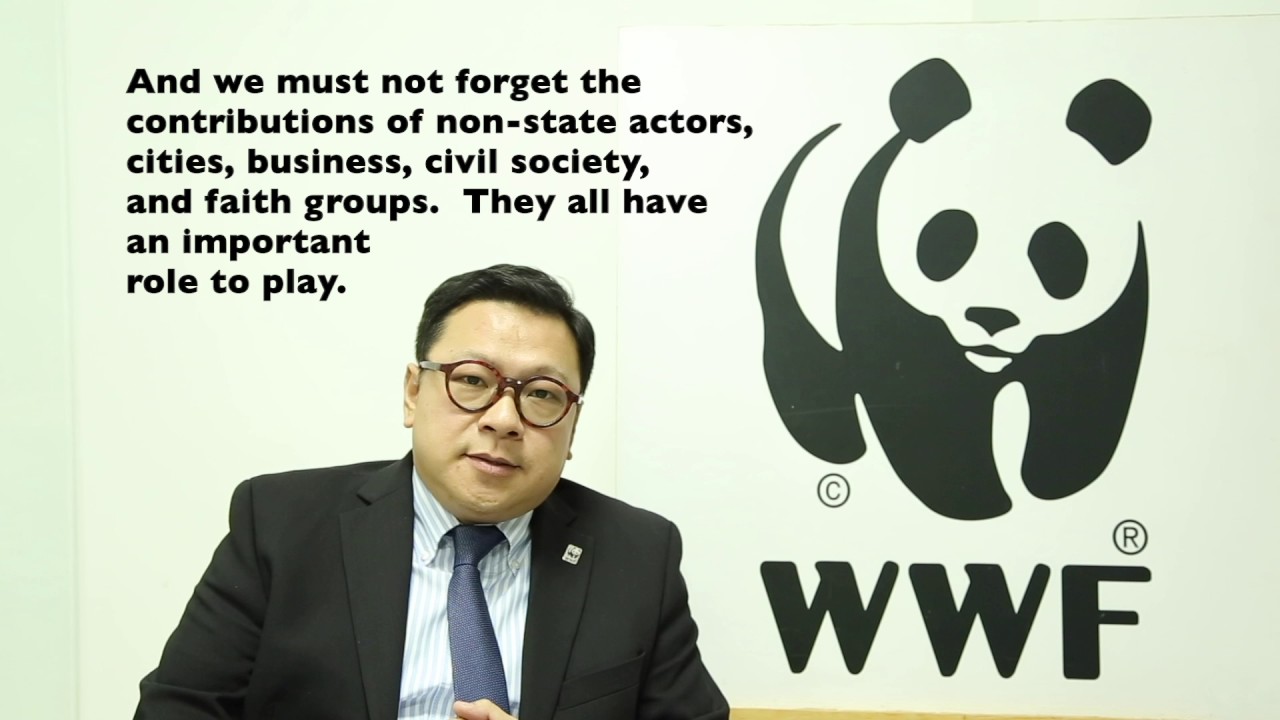 Sze Ping Lo, WWF China - Paris Agreement on climate change entry into ...