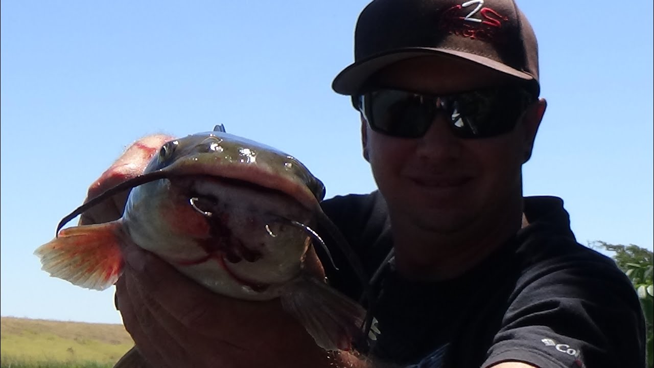 CHANNEL CATFISH FISH'N ON THE CALIF. DELTA ! - YouTube