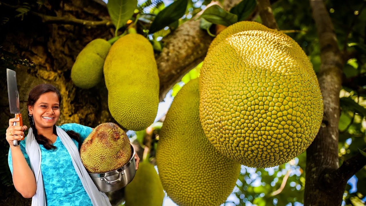 Jackfruit Cutting And Eating 😋😋😋 - YouTube