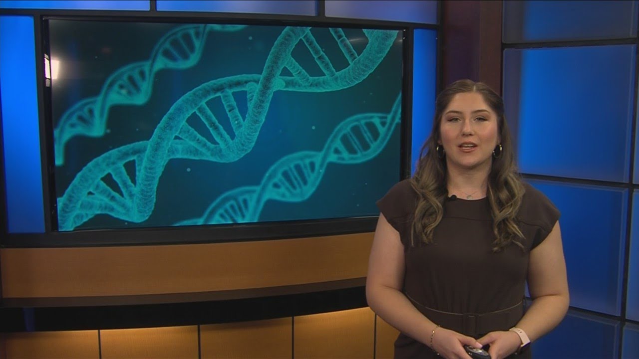 Morning News Break with Brianna MacLean 12/28 - YouTube