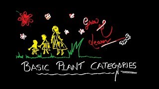 Biology Tutorial  1 -  Basic Plant Categories