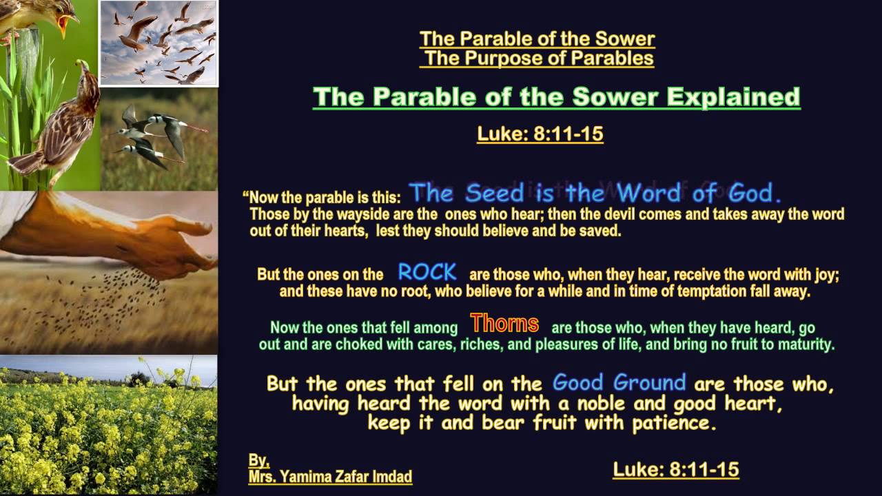 Gospel Of Luke Chapter 8 1 56 The Parable Of The Sower Wind And Wave
