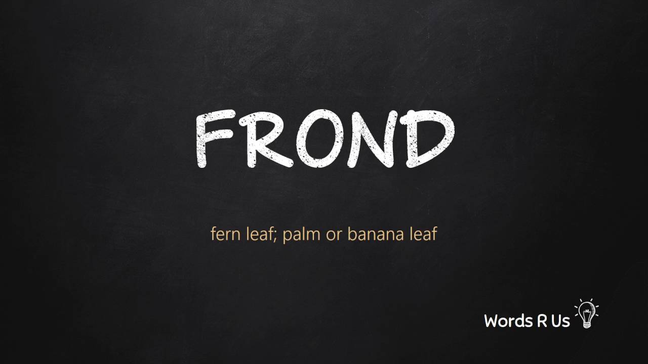 How to Pronounce FROND in American English - YouTube