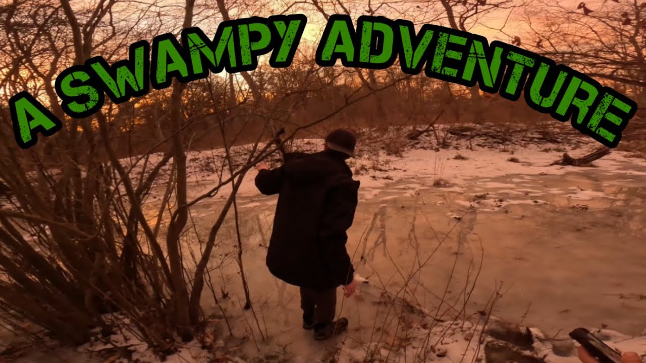 A Swampy Adventure! - YouTube