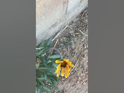 #ana #bozovic #2011-2023 - YouTube