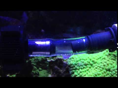 Vortex created by Micro-bubble generator - YouTube