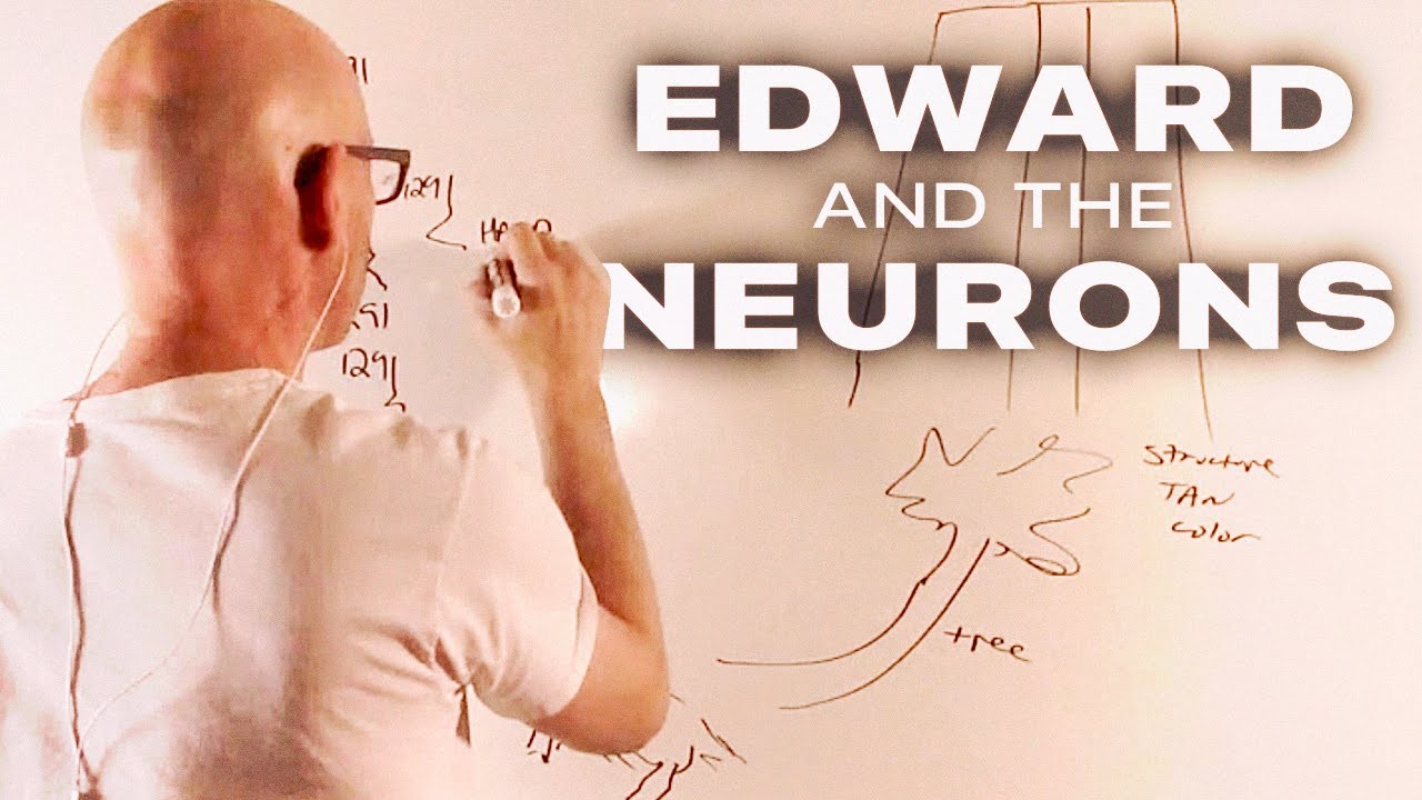 Unlocking the Mind's Secrets: Edward Riordan Explores Neurons with ...