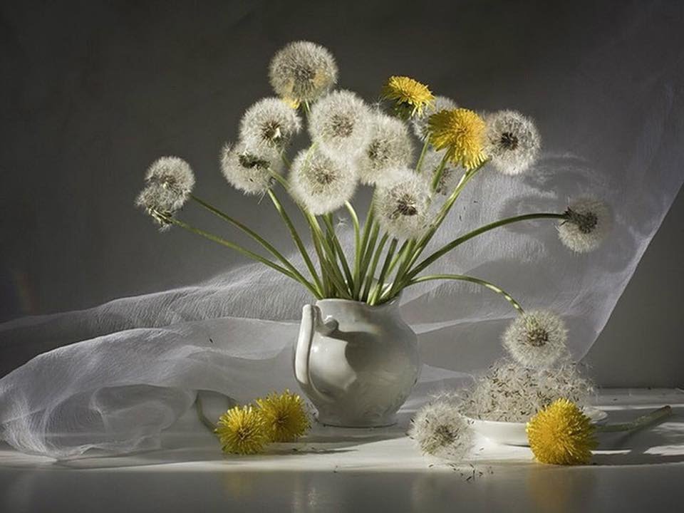 DANDELION OBSESSION, REAL DANDELIONS JEWELRY BY OKSANA BELL - YouTube