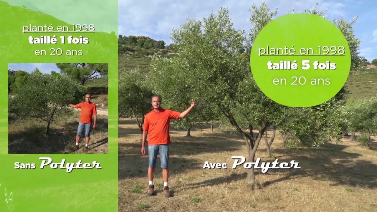 Le Polyter - Particuliers Professionnels - YouTube