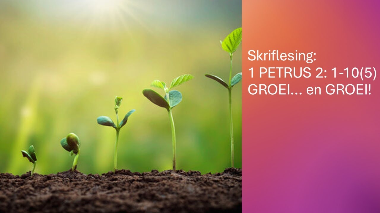 NG Nigel-Suid 08 September 2024 Ds Cobus Rossouw - YouTube