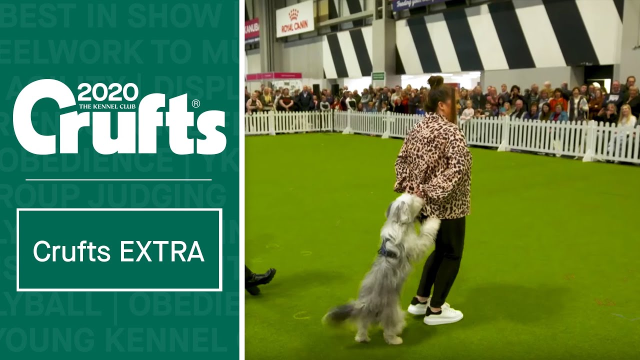 Ashleigh Butler shares some of her favourite Heelwork tricks ...