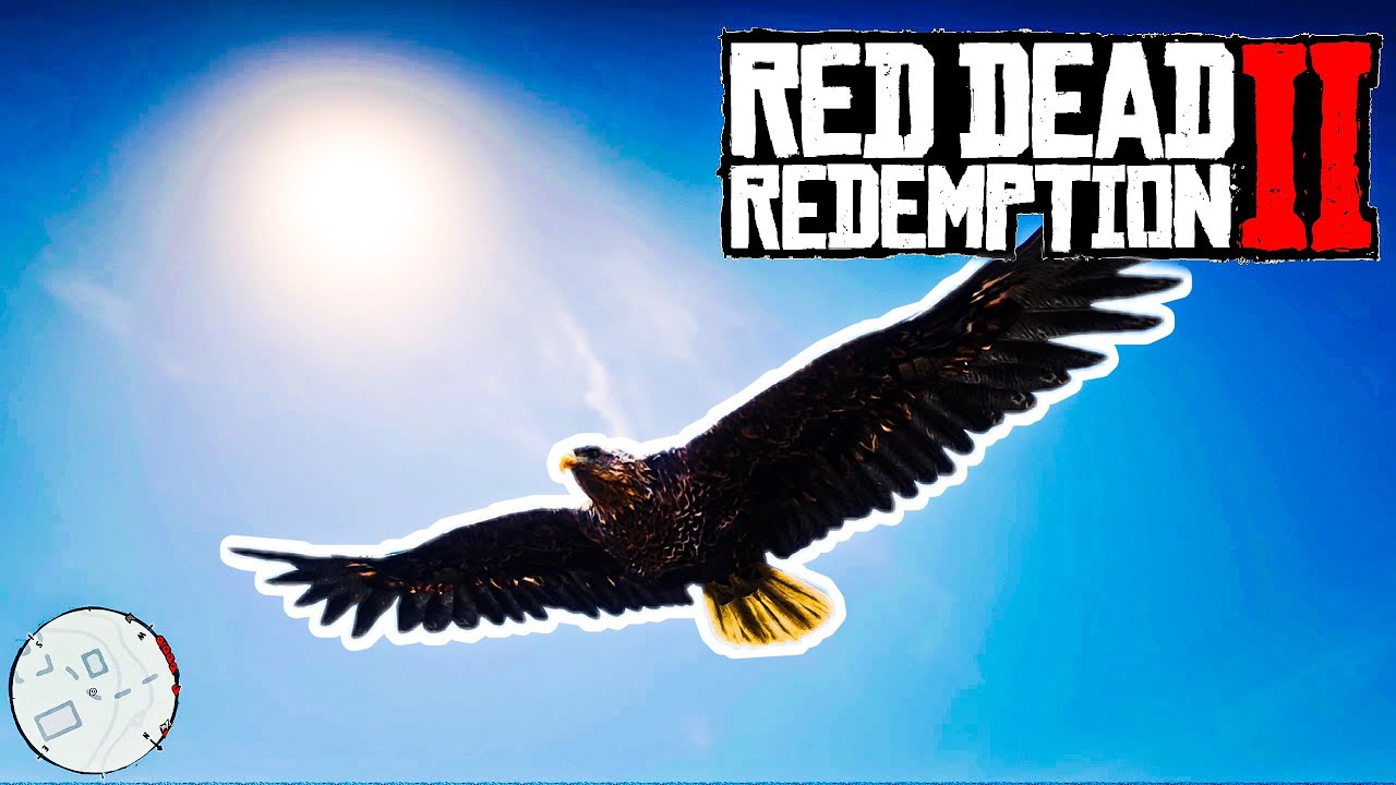 Red Dead Redemption 2 Mod - Play as an Eagle | PC Gameplay - YouTube