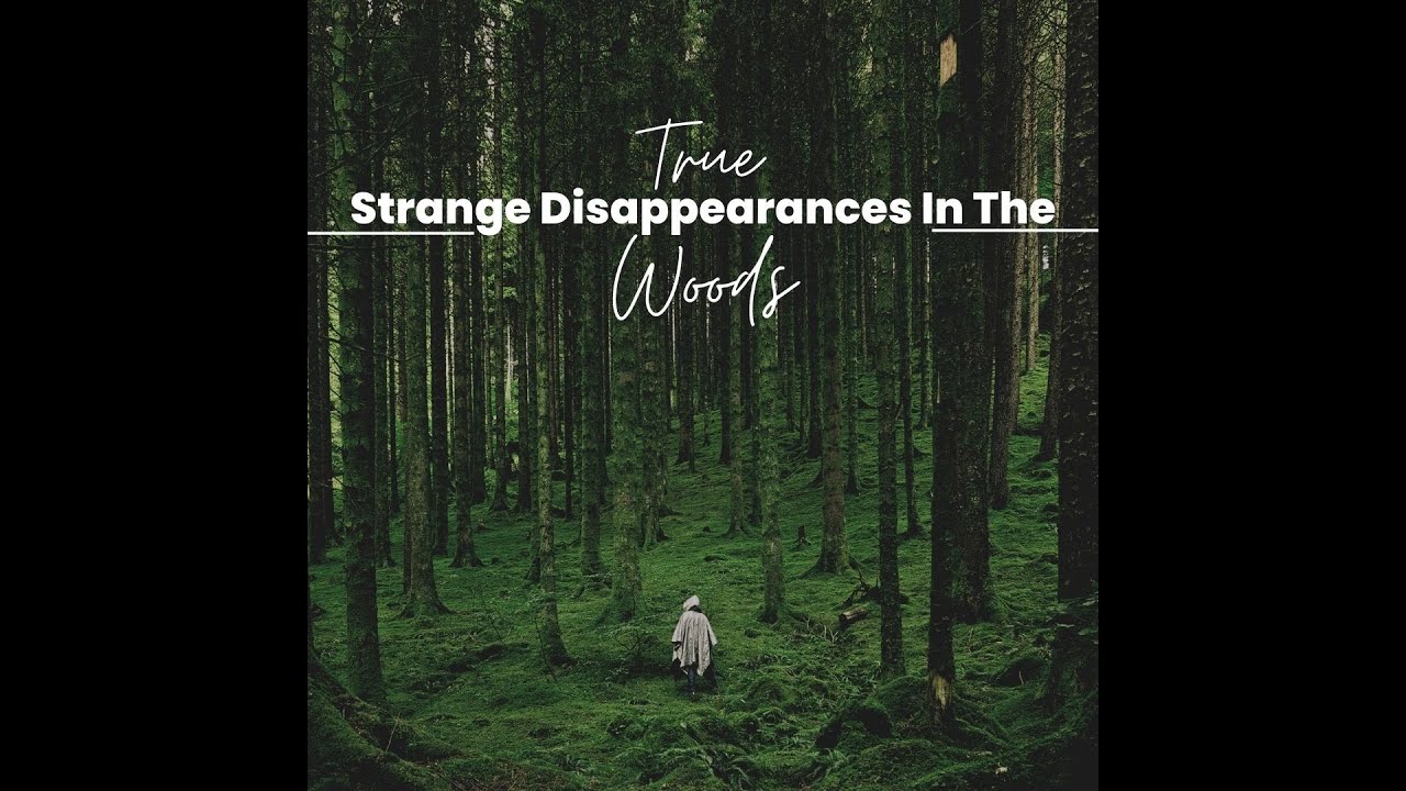 10 TRUE Strange Disappearances In The Woods (Ambient Forest/Bird Sounds ...