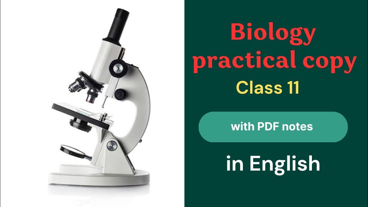 Biology practical copy class 11#कक्षा 11 जीवविज्ञान प्रैक्टिकल कॉपी ...