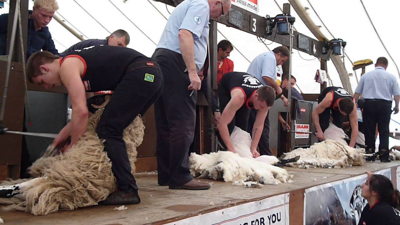 Lochearnhead Shears 2014 Senior Final Part I of 2 - Watch in HD - YouTube
