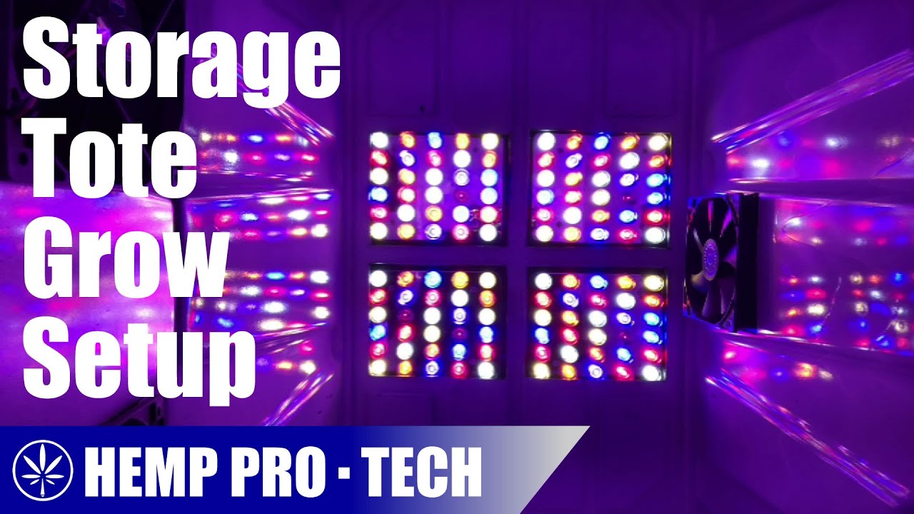 How to Grow Hemp with Storage Bins - YouTube