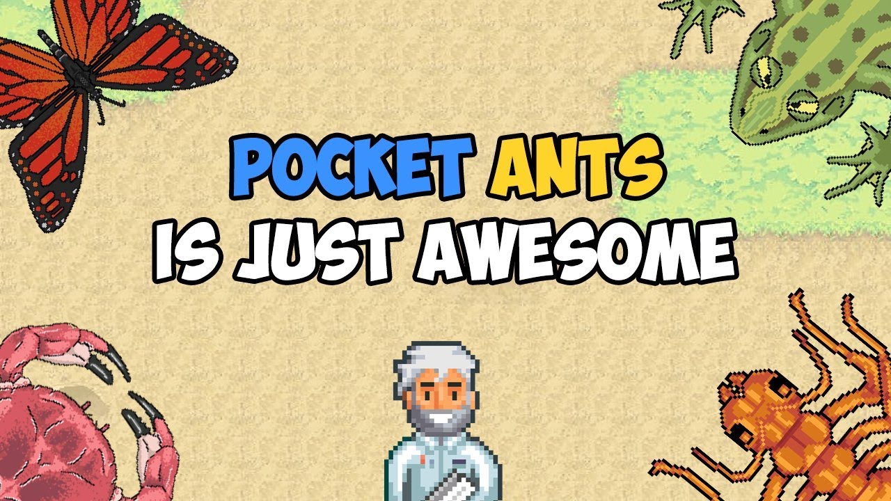 Pocket ants is just awesome - YouTube