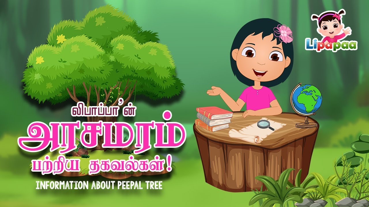 அரசமரம் பற்றிய சுவாரசியமான தகவல்கள்! | Information About Peepal Tree ...