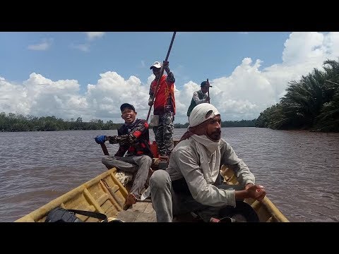 Mancing Kakap di Tambak Mak JANDA Ini Akibatnya