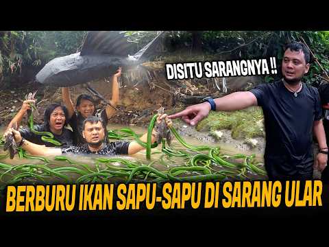 AKSI TRIO ANOMALI BASMI IKAN SAPU-SAPU DI SUNGAI ULAR !!