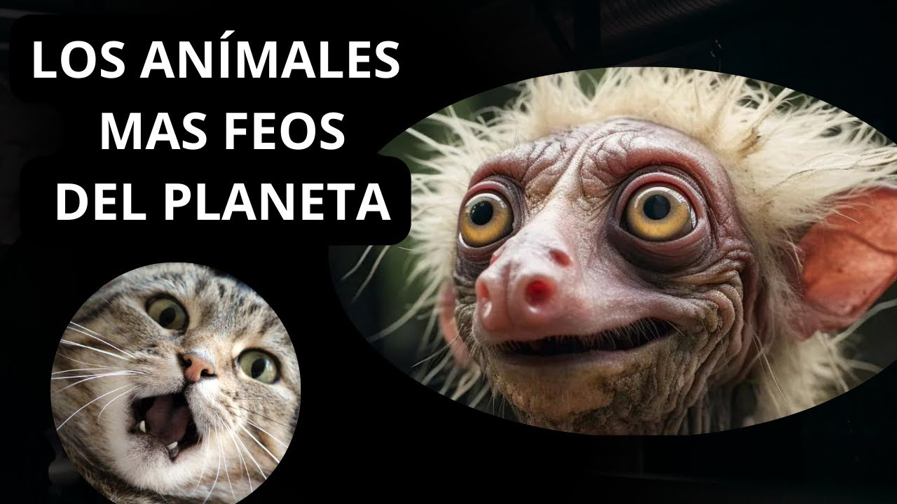 "ESTOS SON LOS ANIMALES MAS FEOS DEL MUNDO"🤯 - YouTube